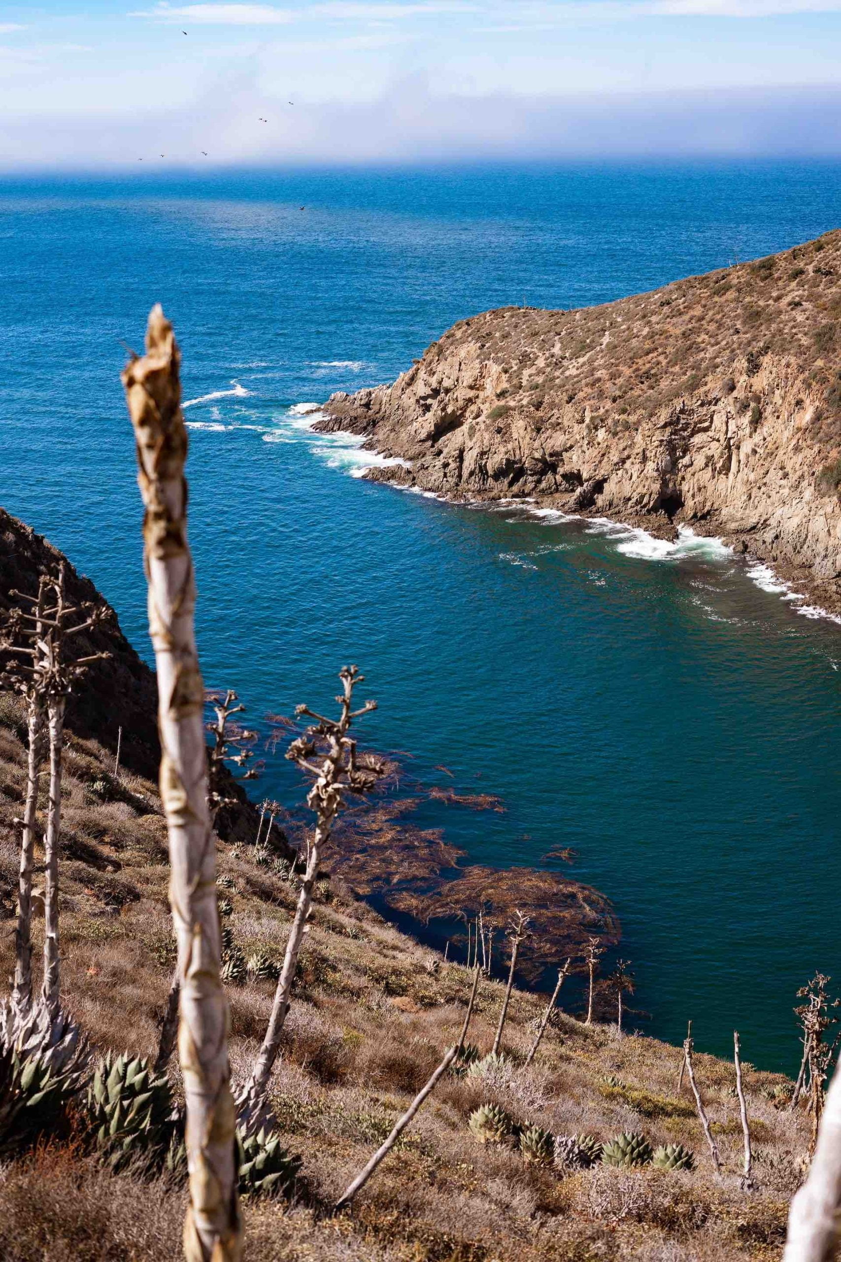 10 Best Things to Do in Ensenada, Mexico - Mexico Travel Buddy