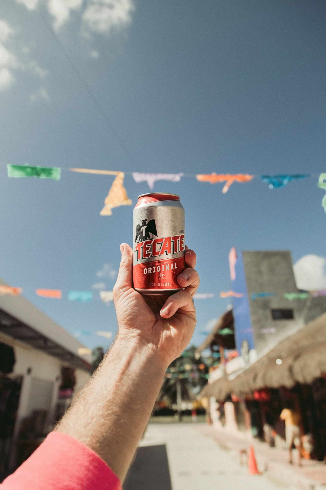 Top Things to Do in Tecate - Mexico Travel Buddy