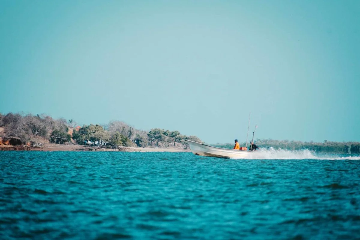 Everything You Need To Know About Punta Baja: The Sleepy Seaside Camp ...